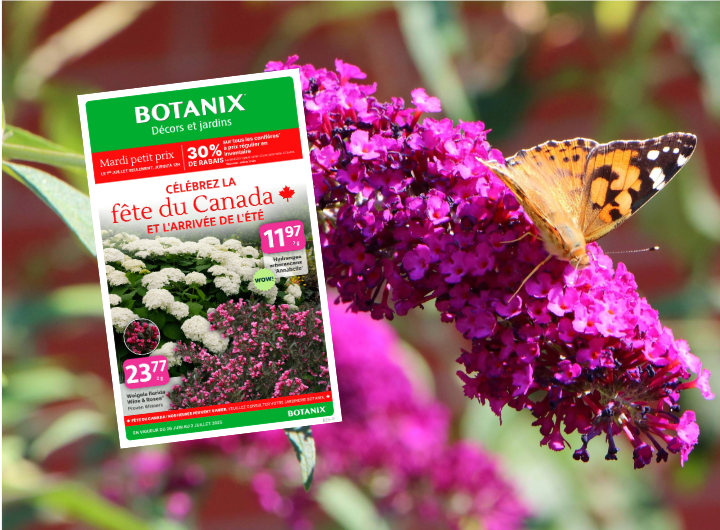 Magazines – Jardineries Botanix