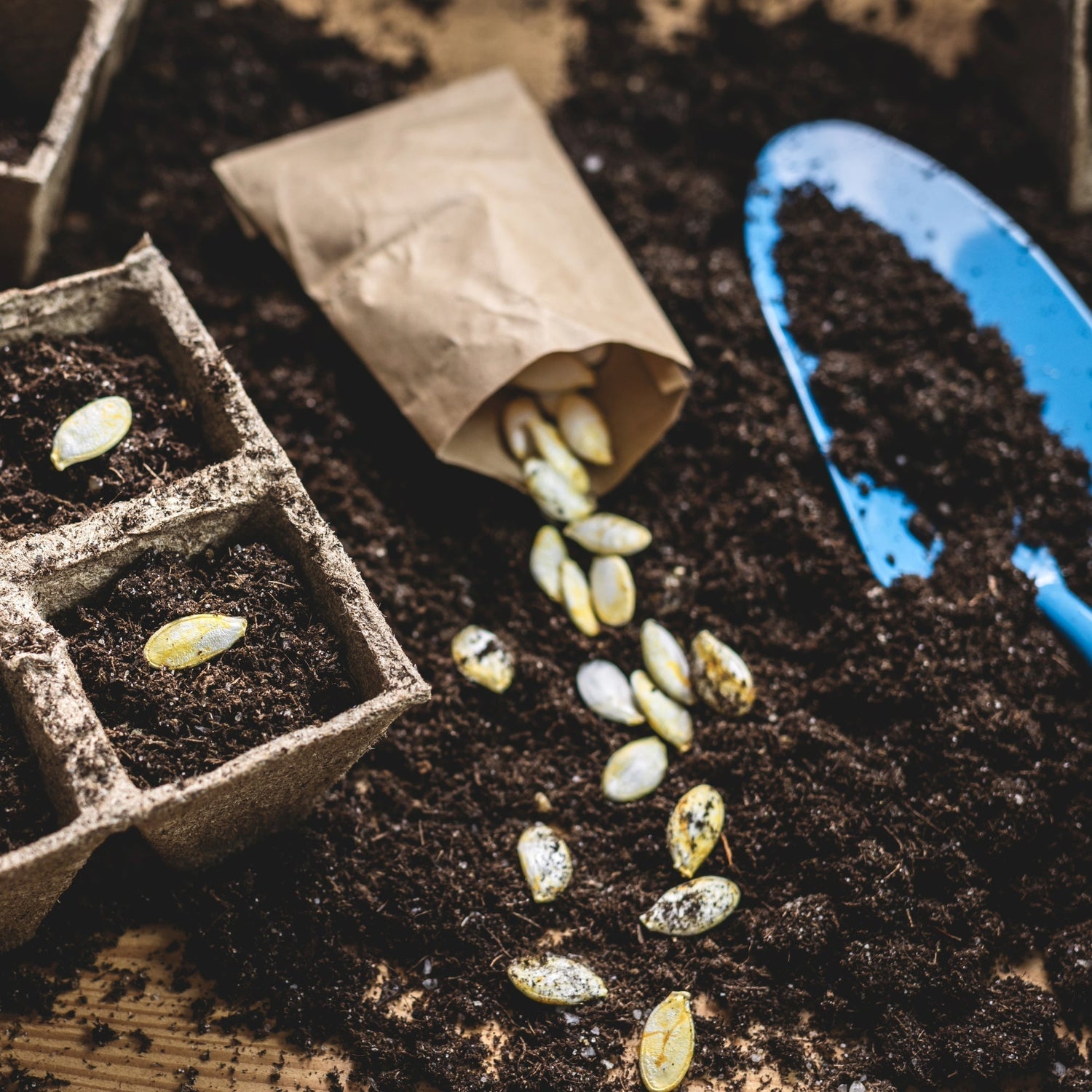 Le blogue des experts Botanix – Jardineries Botanix