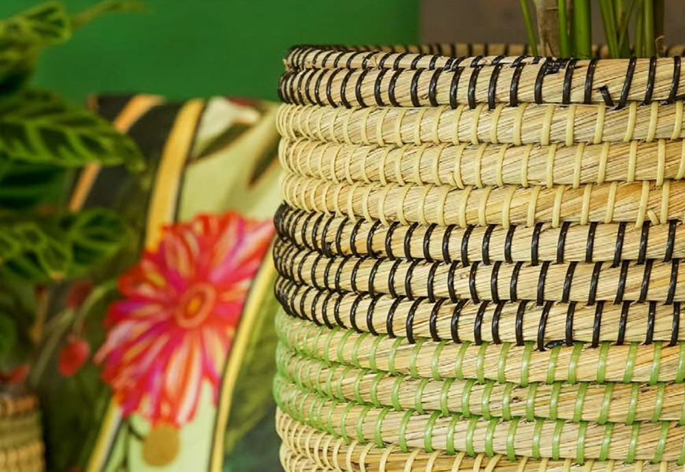 Magazines – Jardineries Botanix