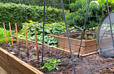 Attache pour tuteur d'arbre (sellette) – Jardineries Botanix
