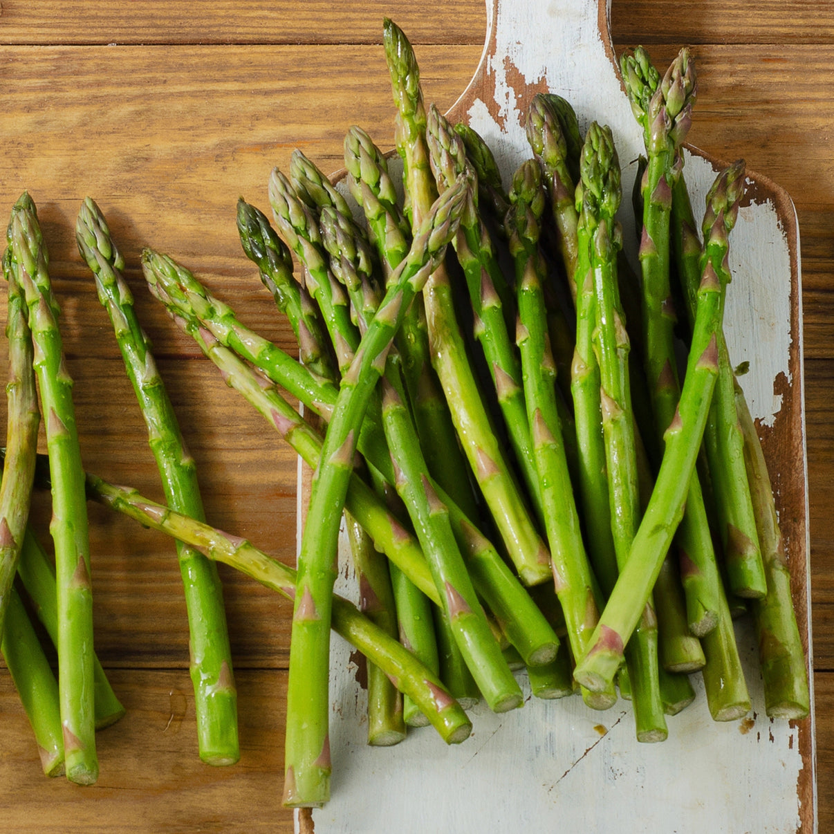 Asperge 'Mary Washington' – Jardineries Botanix
