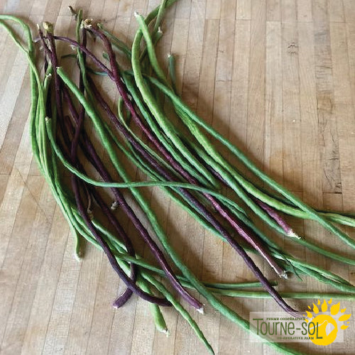 Organic Yard Long Bean Seeds - 50 cm Red & Green Mix – Jardineries Botanix