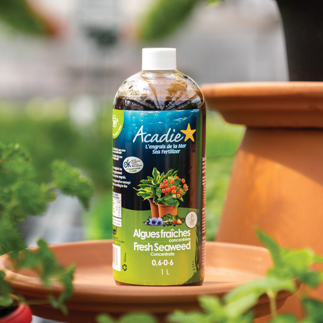 Botanix Garden Centres – Jardineries Botanix