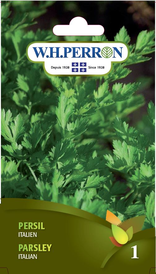 Persil 'Italien' - Semences – Jardineries Botanix