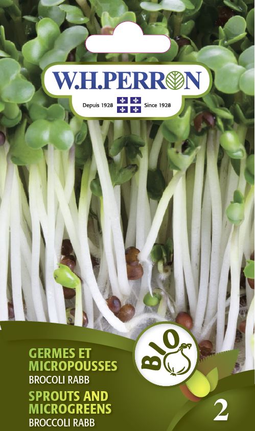 Germes et micropousses 'Brocoli Rabb' - Semences – Jardineries Botanix