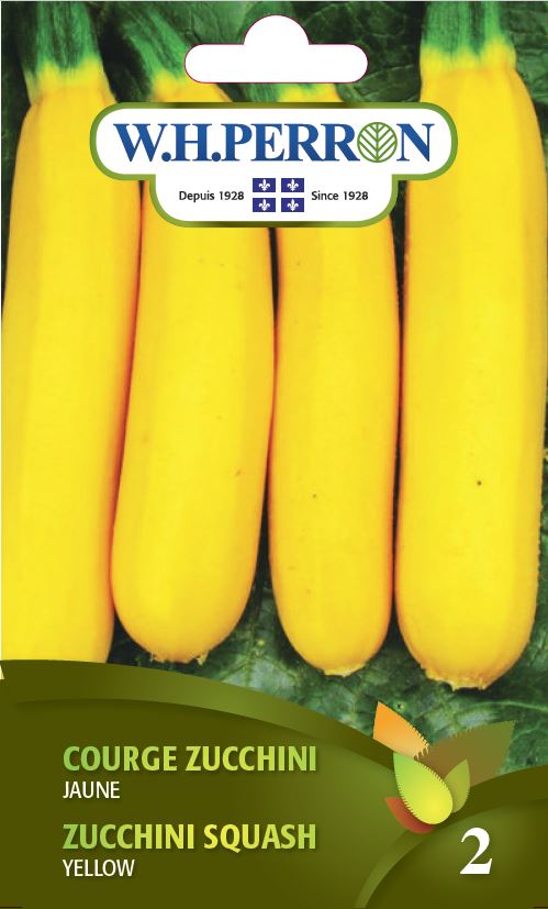 Courge zucchini 'Jaune' - Semences – Jardineries Botanix