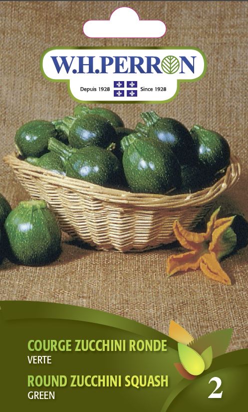 Courge zucchini ronde 'Verte' - Semences – Jardineries Botanix