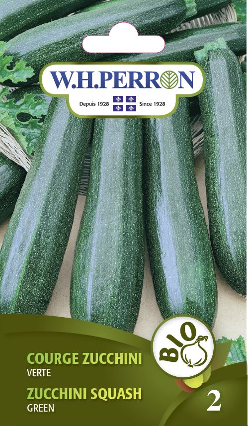 Courge zucchini 'Verte' - Semences – Jardineries Botanix