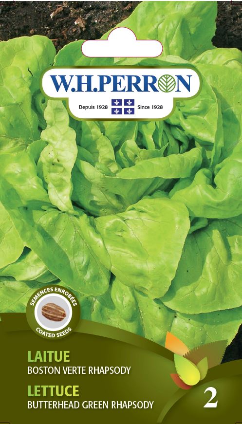 Laitue 'Boston Verte Rhapsody' - Semences – Jardineries Botanix