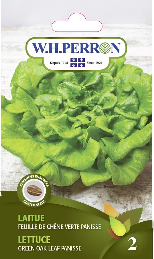 Laitue 'Feuille De Chêne Verte Panisse' - Semences – Jardineries Botanix