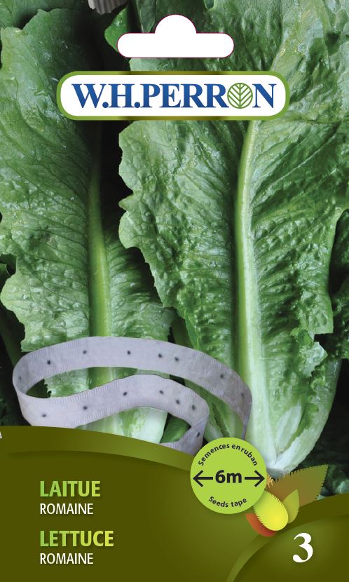 Laitue 'Romaine' - Semences – Jardineries Botanix
