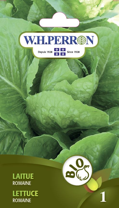 Laitue 'Romaine' - Semences – Jardineries Botanix