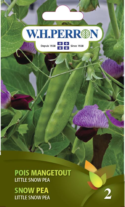 Snow pea 'Little Snow Pea' - Seeds – Jardineries Botanix