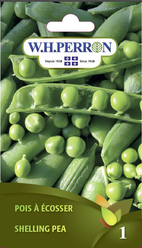 Shelling pea - Seeds – Jardineries Botanix