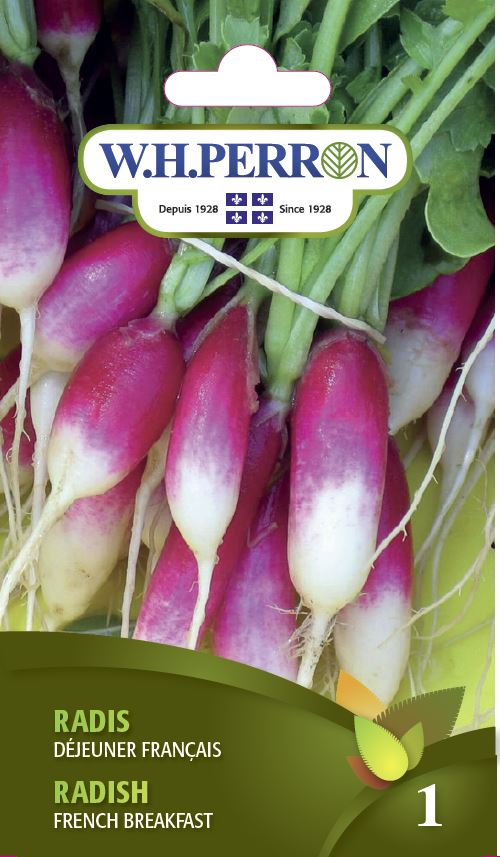 Radis 'Déjeuner Français' - Semences – Jardineries Botanix