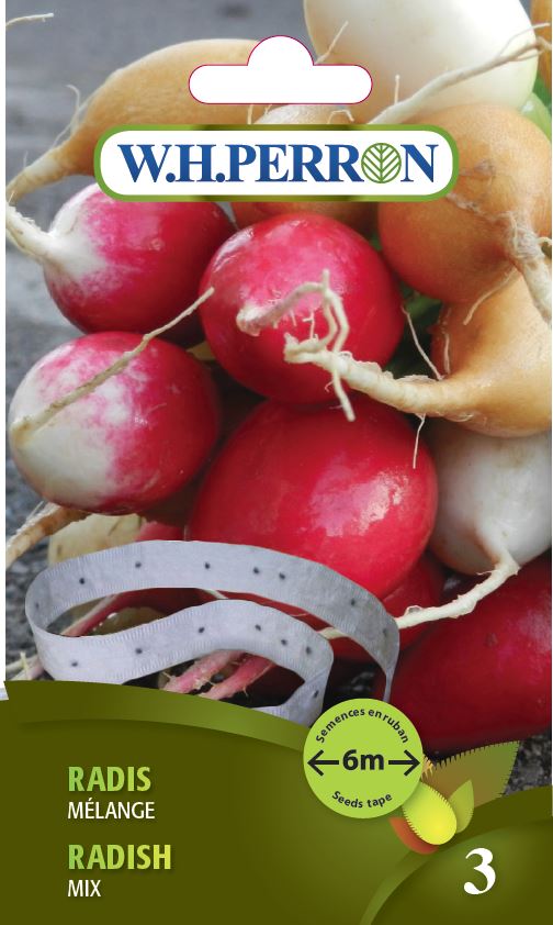 Radish 'Mix' - Seeds – Jardineries Botanix