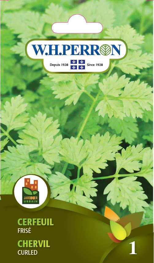 Chervil 'Curled' - Seeds – Jardineries Botanix