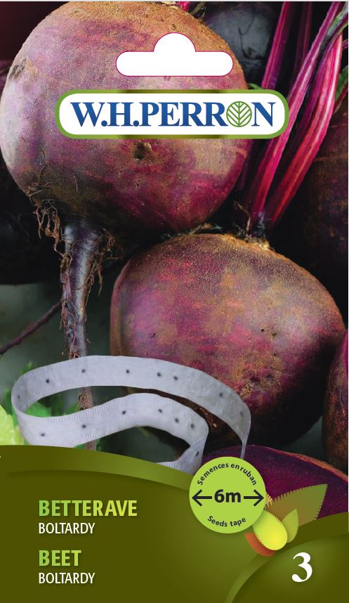 Betterave 'Boltardy' - Semences – Jardineries Botanix