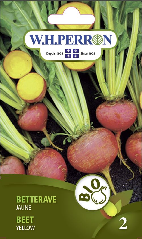 Betterave 'Jaune' - Semences – Jardineries Botanix