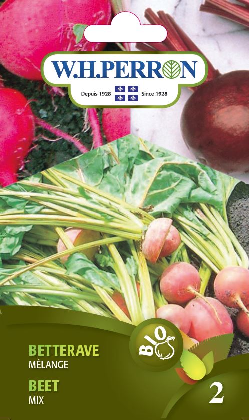 Beet 'Mix' - Seeds – Jardineries Botanix