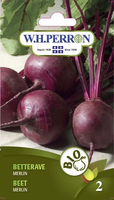 Betterave 'Merlin' - Semences – Jardineries Botanix
