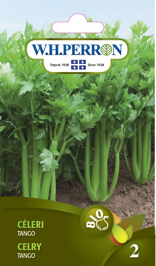 Celery 'Tango' - Seeds – Jardineries Botanix