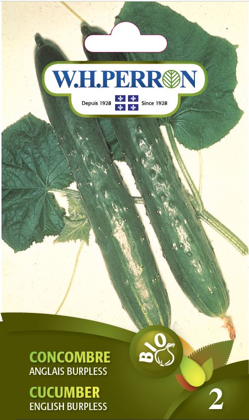Concombre 'Anglais Burpless ' - Semences – Jardineries Botanix