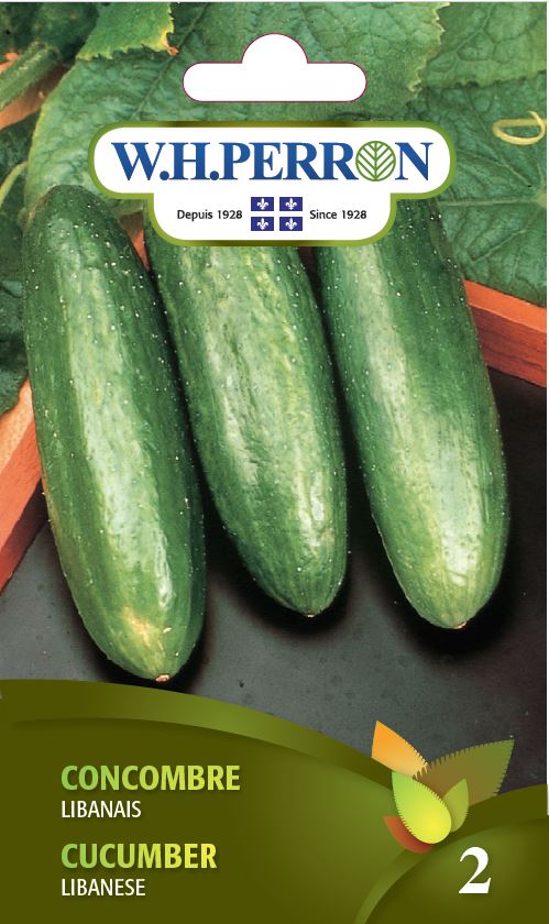 Concombre 'Libanais' - Semences – Jardineries Botanix