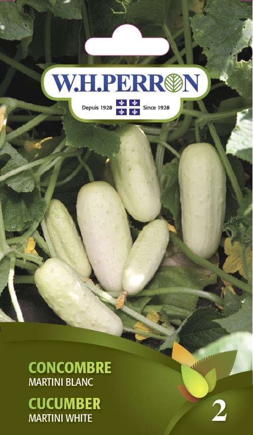 Concombre 'Martini Blanc' - Semences – Jardineries Botanix