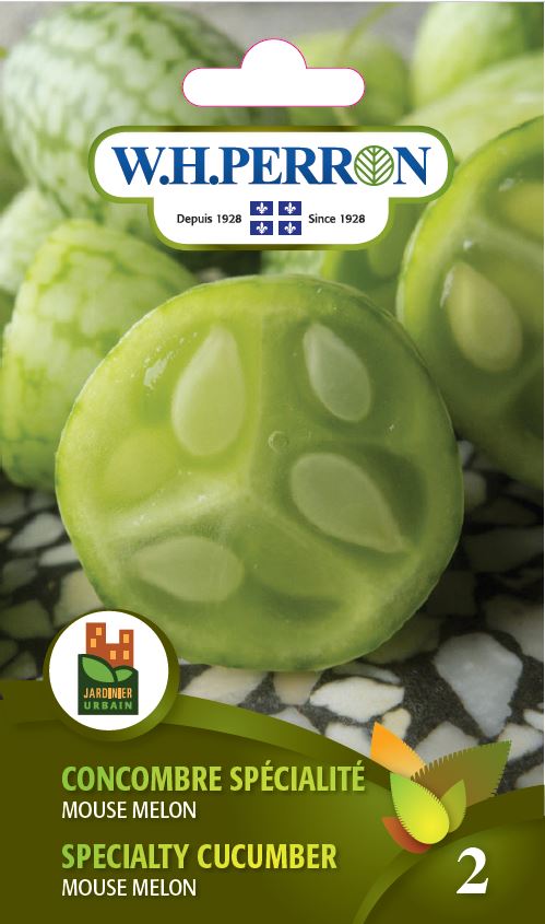 Concombre spécialité 'Mouse Melon' - Semences – Jardineries Botanix