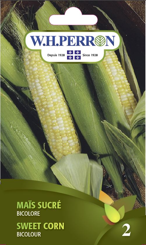 Sweet corn 'Bicolour' - Seeds – Jardineries Botanix