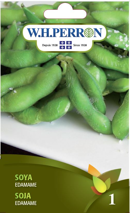 Soja 'Edamame' - Seeds – Jardineries Botanix