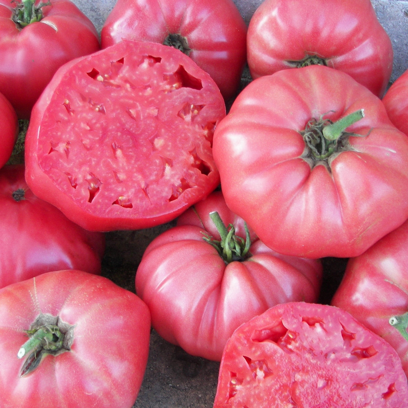 Tomate Ancestrale 'Brandywine Pink' – Jardineries Botanix