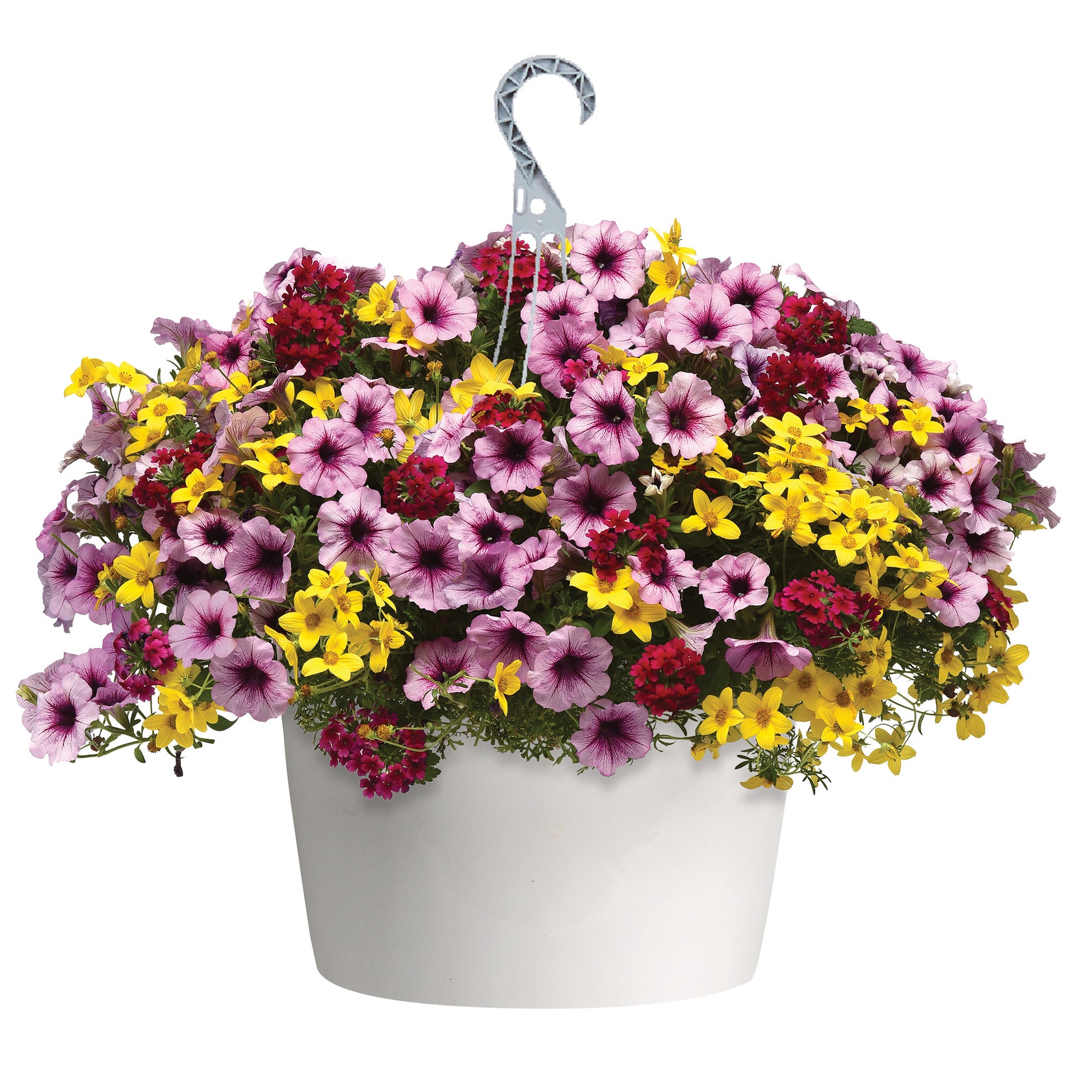 Trixi Hanging Baskets – Jardineries Botanix